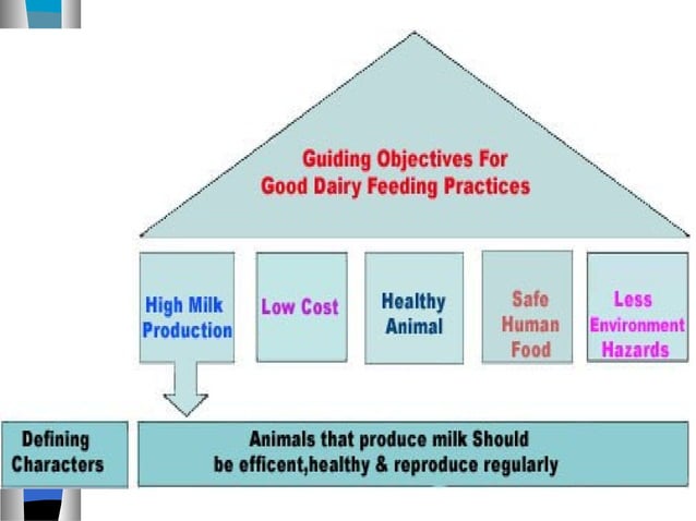 21 animal nutrition and feeds | PPT | Pet Supplies | Pets