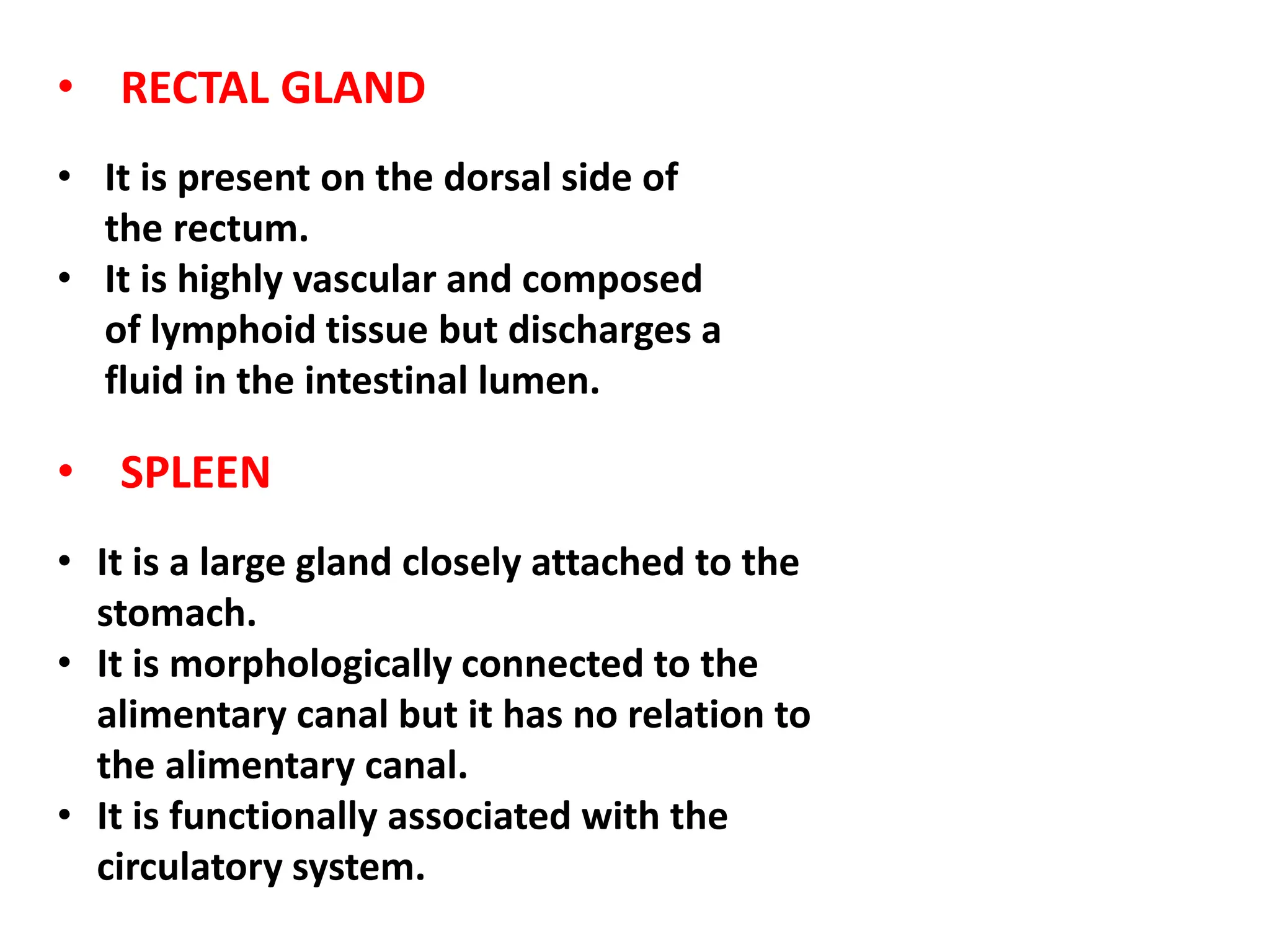 21 Anoop Kumar -Alimentary canal and associated glands in Elasmobranchs ...