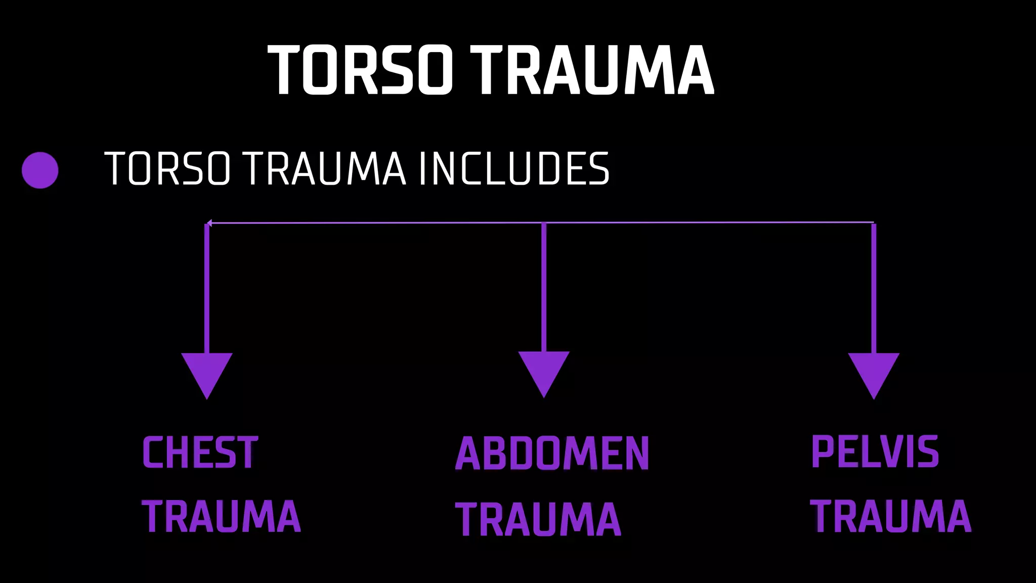 Introduction to the Torso Trauma | PPTX