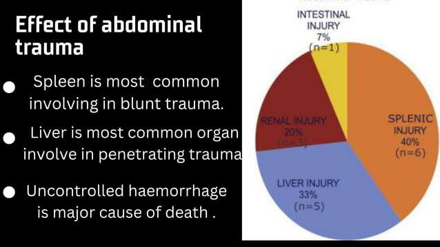 Introduction to the Torso Trauma | PPTX