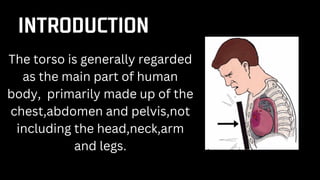 Introduction to the Torso Trauma | PPTX