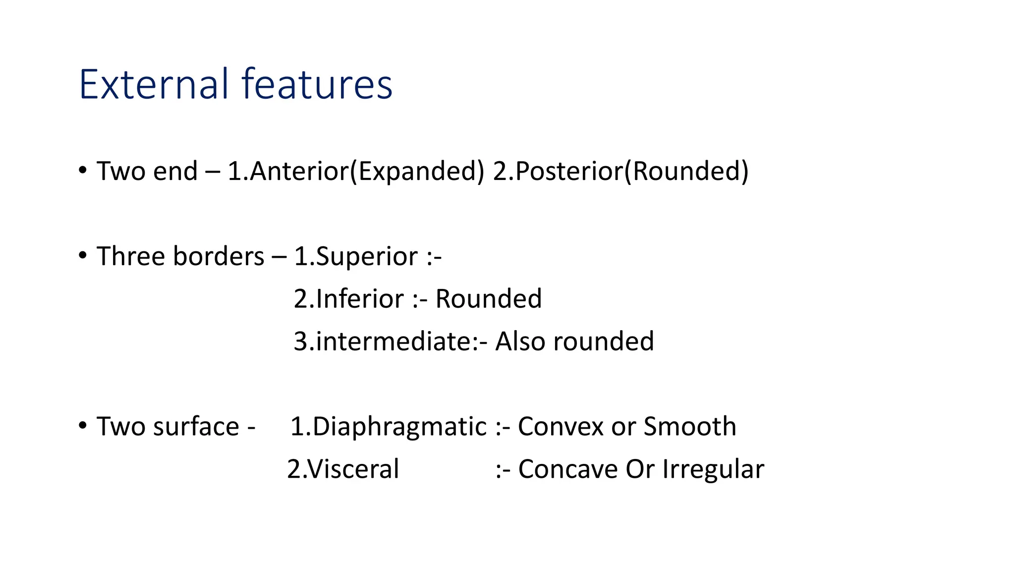 Spleen Anatomy | PPTX