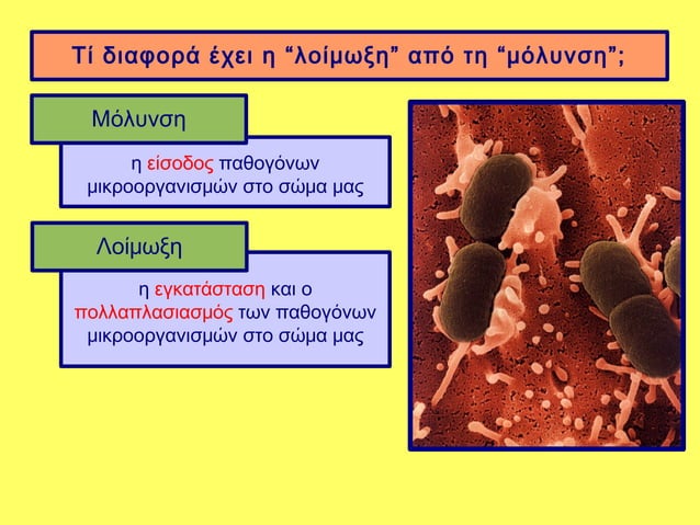 Μετάδοση και αντιμετώπιση μικροοργανισμών | ODP