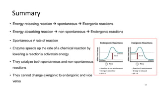 Energy Consuming & Energy Releasing Reactions.pptx
