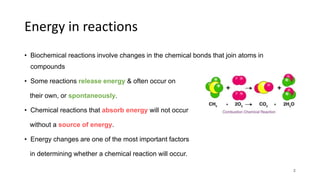 Energy Consuming & Energy Releasing Reactions.pptx