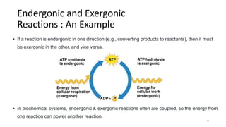 Energy Consuming & Energy Releasing Reactions.pptx