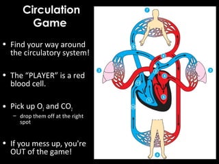 Cardiovascular System | PPT