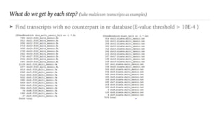 Practicum Pressentation PDF | PDF