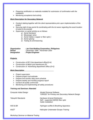 Curriculum Vitae lim | PDF