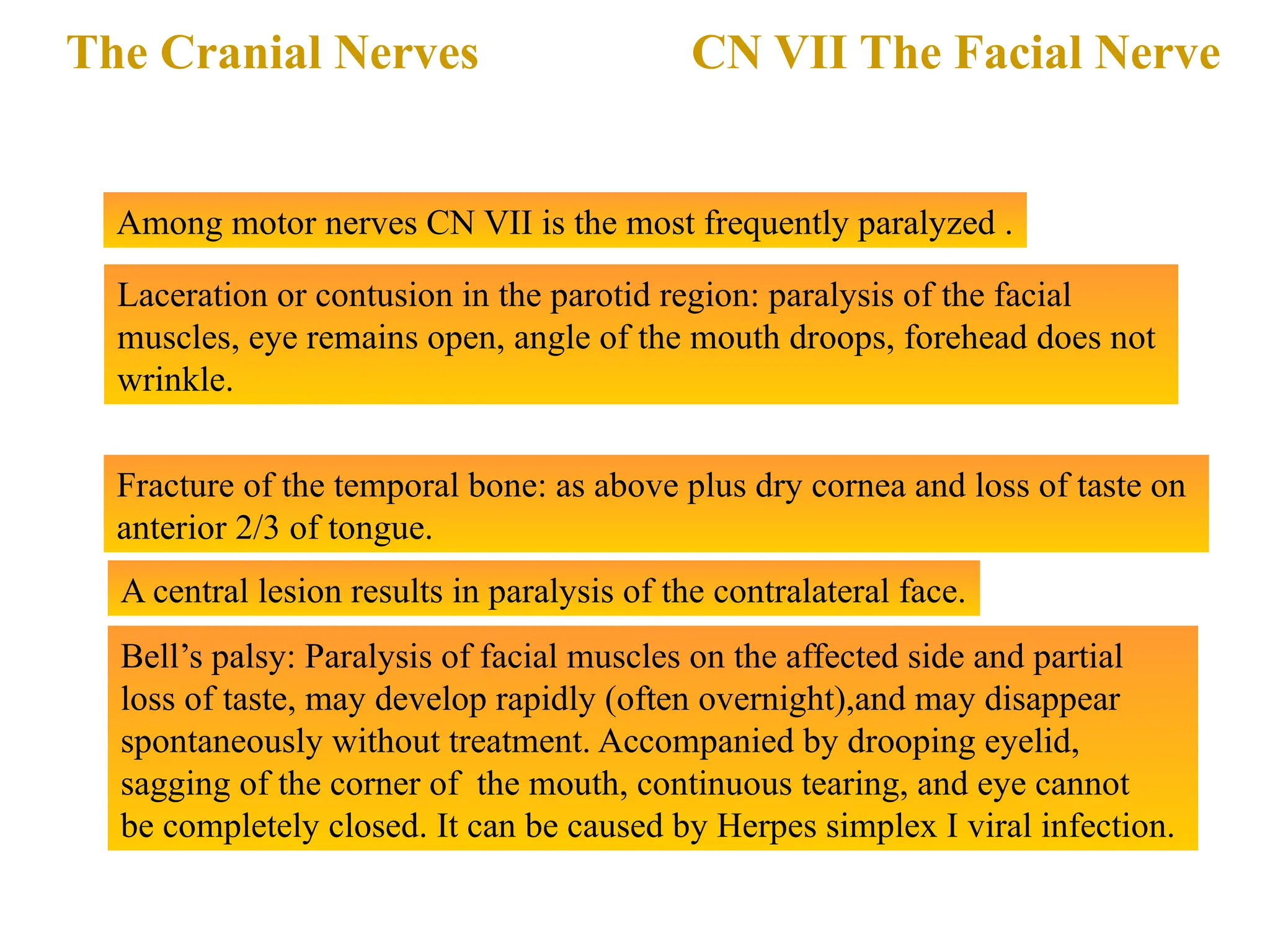 21. Anatomy of the cranial Nerves-1.pptx