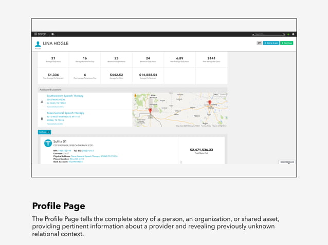 21CT Torch Fraud Detection Analytics Screenshot Gallery | PDF | Computing | Technology & Computing