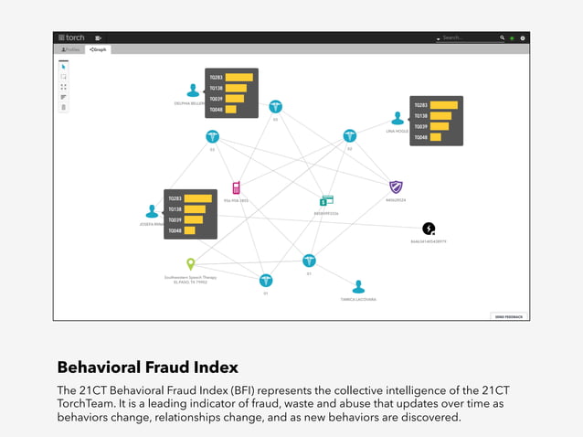 21CT Torch Fraud Detection Analytics Screenshot Gallery | PDF | Computing | Technology & Computing