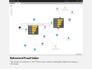 21CT Torch Fraud Detection Analytics Screenshot Gallery | PDF | Computing | Technology & Computing