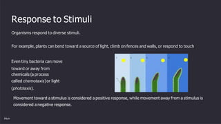 21DCE014_Biology.pptx