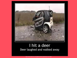 21 Epic Car Fails That are Ridiculously Funny | PDF