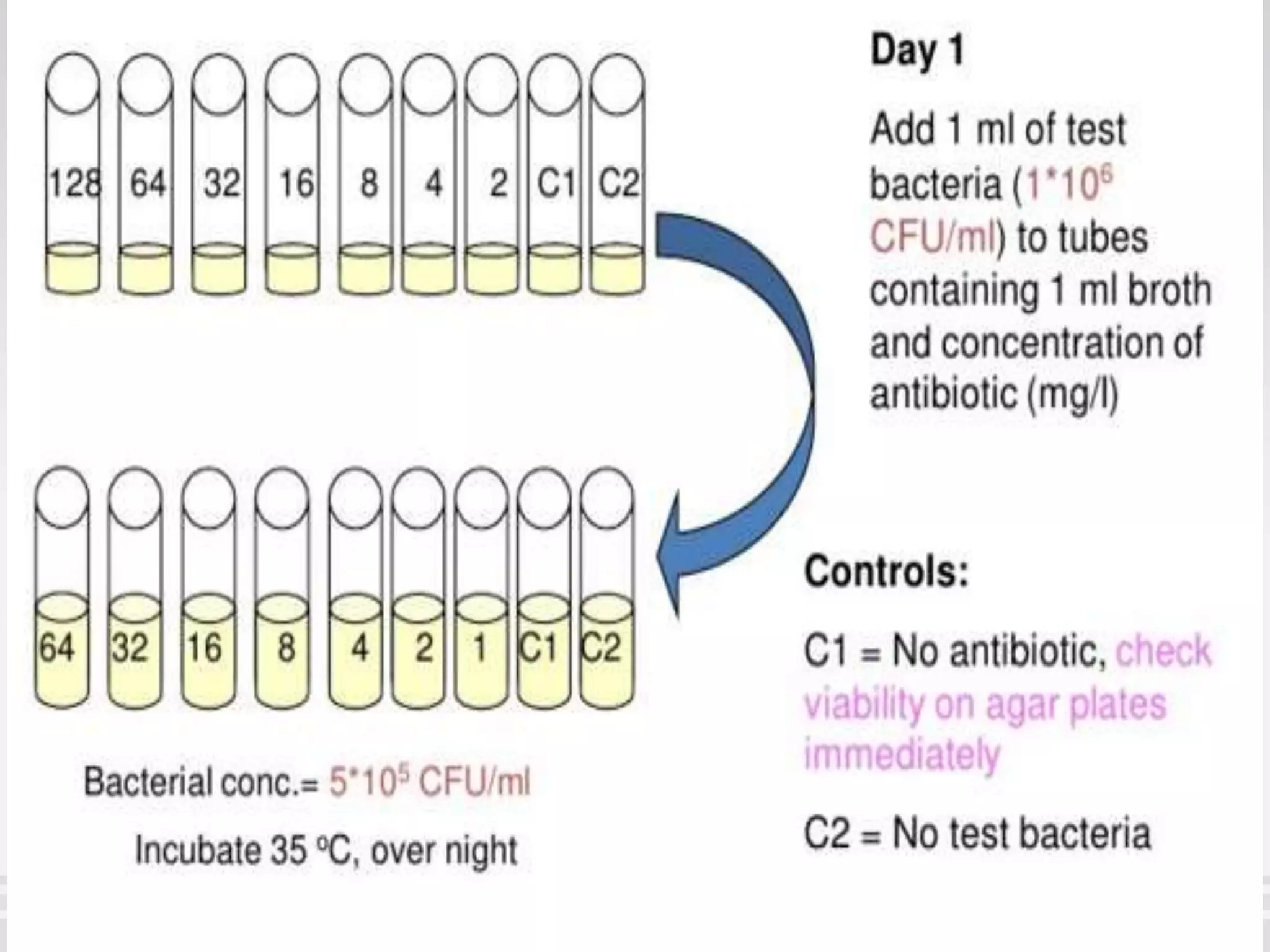 PRACTICAL antibiotic sensitivity test | PPT