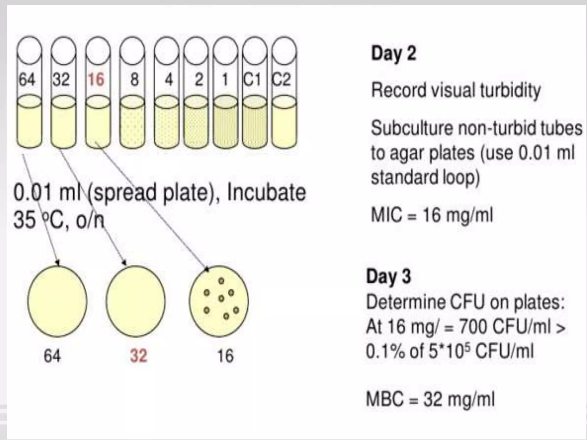 PRACTICAL antibiotic sensitivity test | PPT