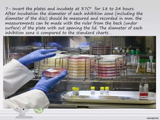 PRACTICAL antibiotic sensitivity test | PPT | Infectious Diseases ...