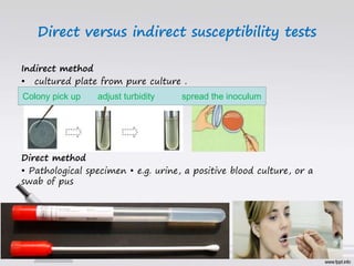 PRACTICAL antibiotic sensitivity test | PPT | Infectious Diseases ...