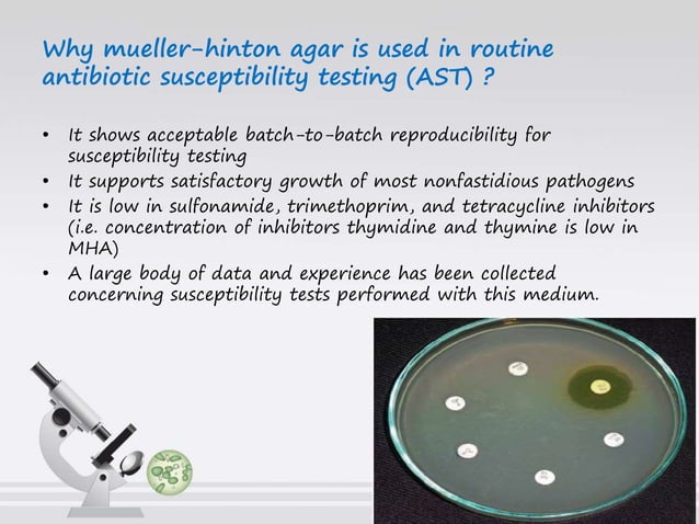 Practical Antibiotic Sensitivity Test Ppt Infectious Diseases Diseases And Conditions