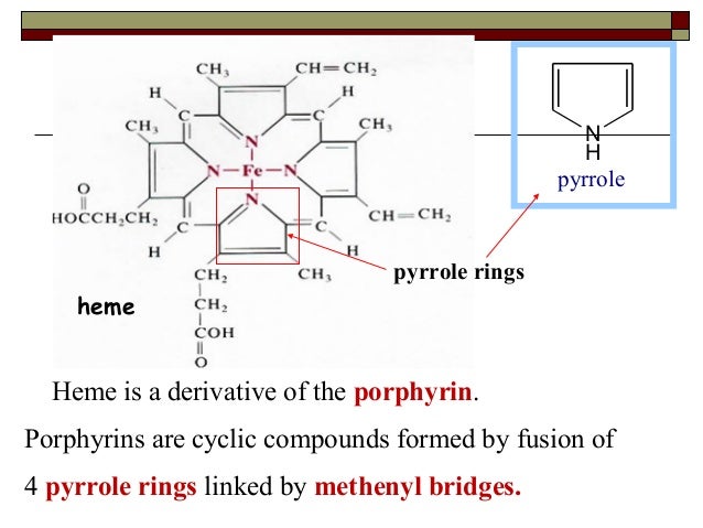 21 hemesynthesis