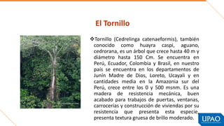 2 (1)LA MADERA, TIPOS DE MADERA TECNOMA.pptx