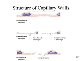 21 lecture apr ppt | PPT