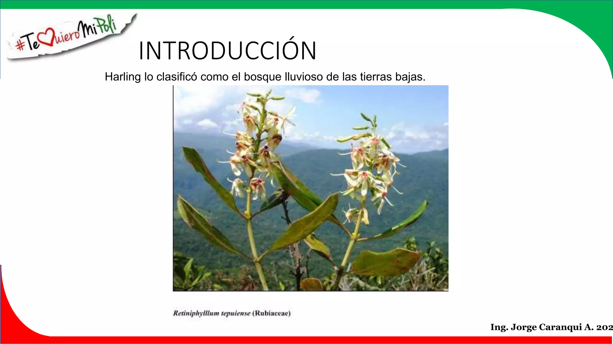 Biodiversidad de los Bosques simpreverde de tierras bajas del ...