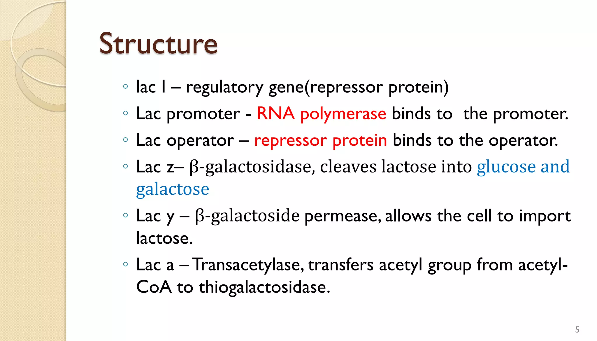 LAC OPERON.pdf