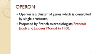 LAC OPERON.pdf