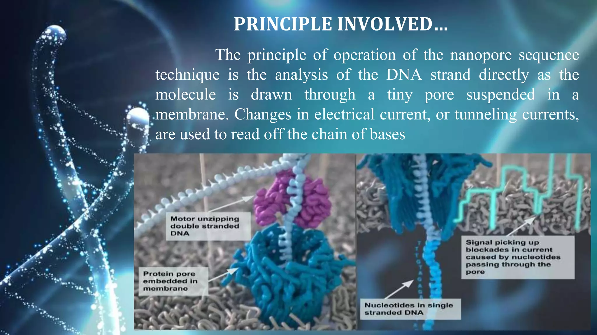 THIRD GEN SEQUENCING.pptx