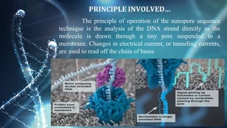 THIRD GEN SEQUENCING.pptx