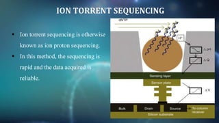 THIRD GEN SEQUENCING.pptx