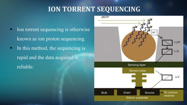 THIRD GEN SEQUENCING.pptx | Genetics | Science