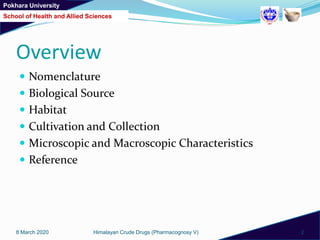 21 momordica charatia (tita karela) | PPT