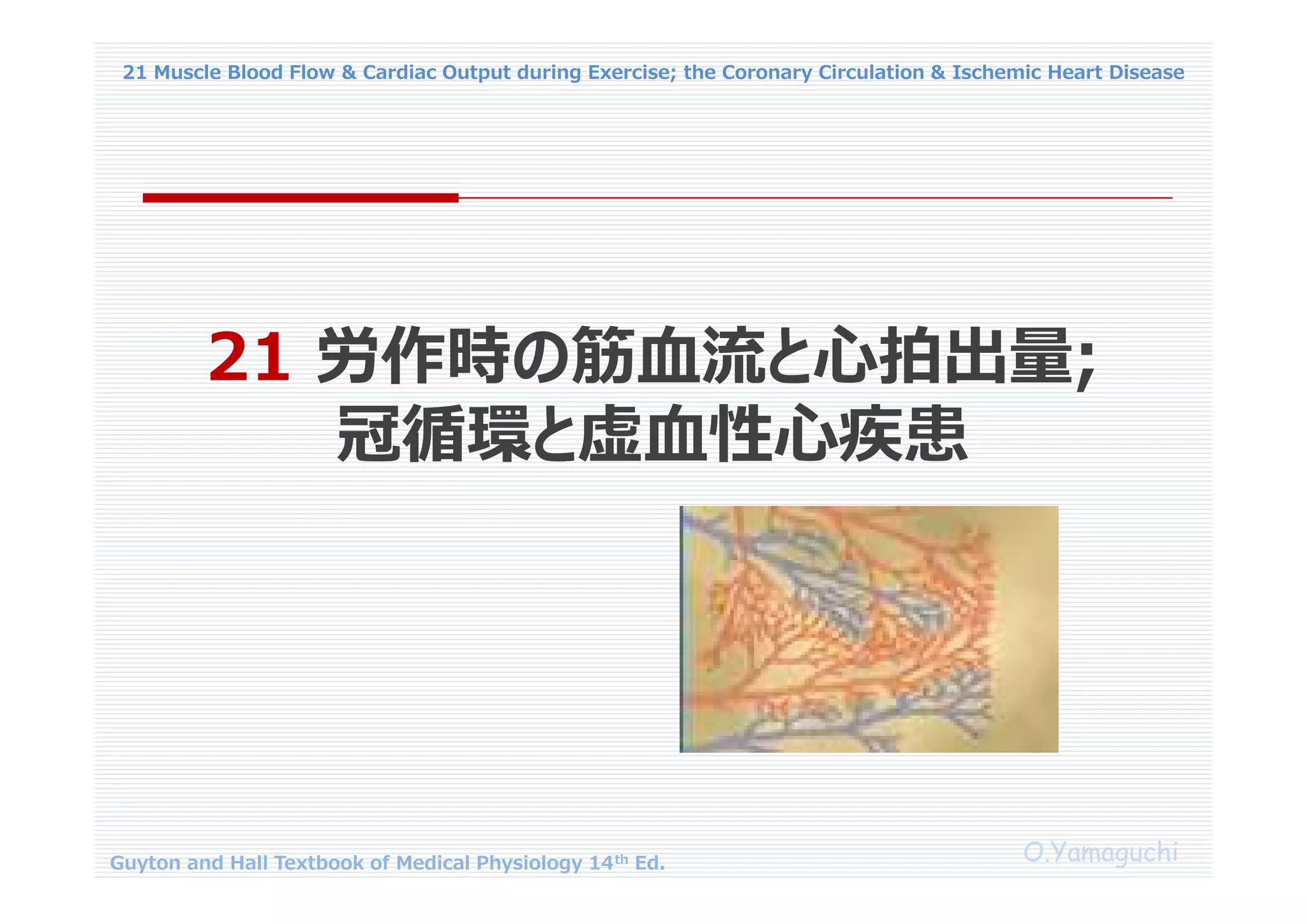 21 muscle blood flow & cardiac output during exercise; the coronary ...
