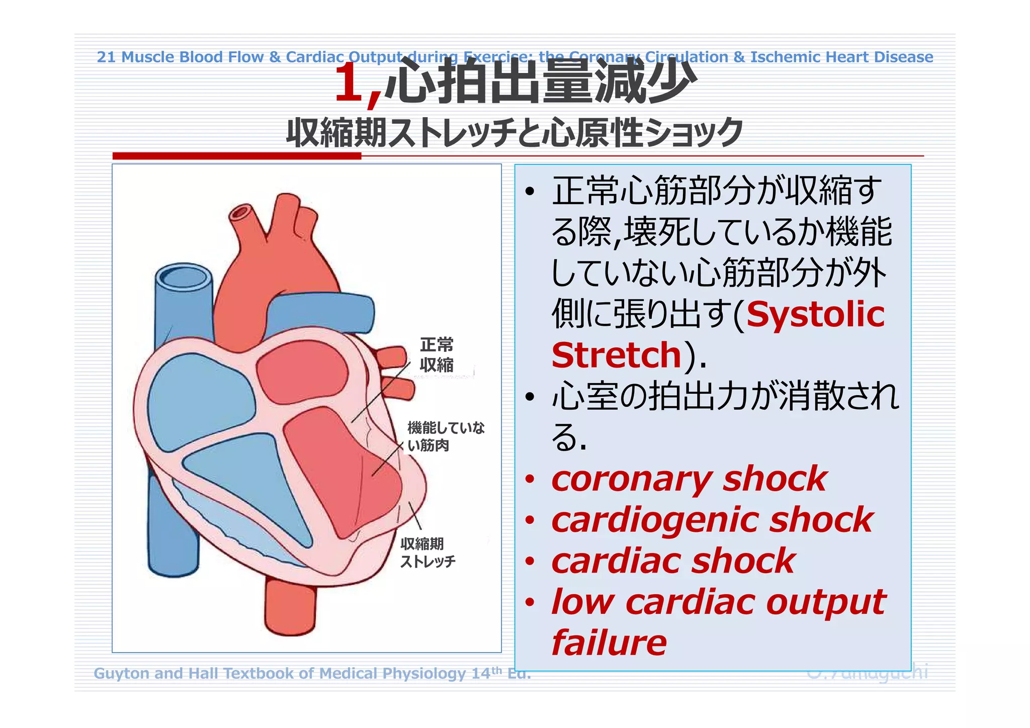 21 muscle blood flow & cardiac output during exercise; the coronary ...