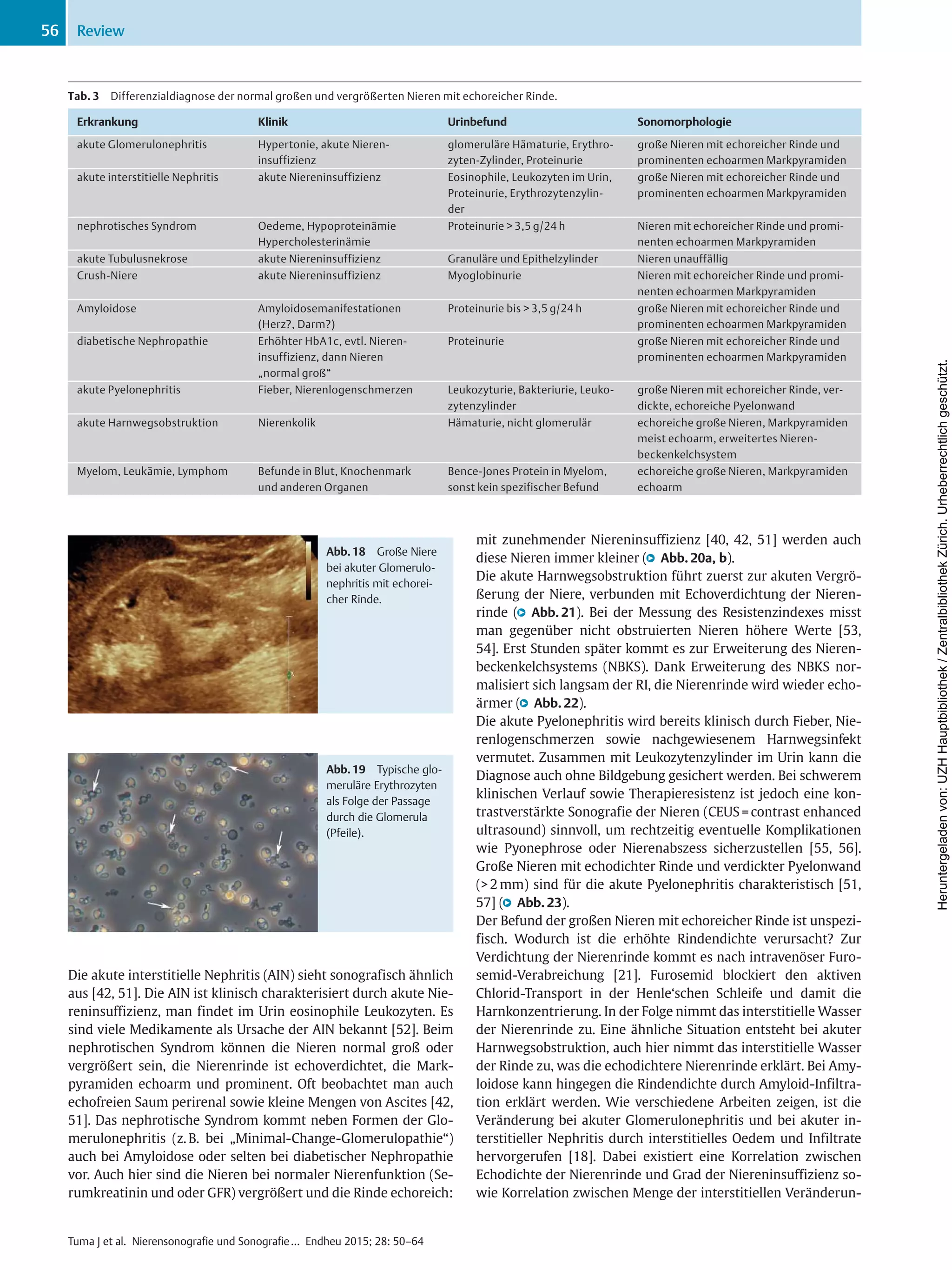 21 Sonographie der Niere und ableitenden Harnwegen. Allgemeinen ...