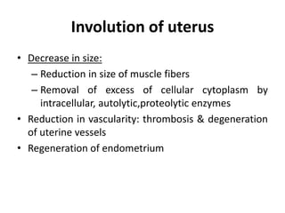 21 Normal physiology of puerperium.pptx ppt | PPT