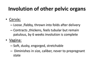 21 Normal physiology of puerperium.pptx ppt | PPT