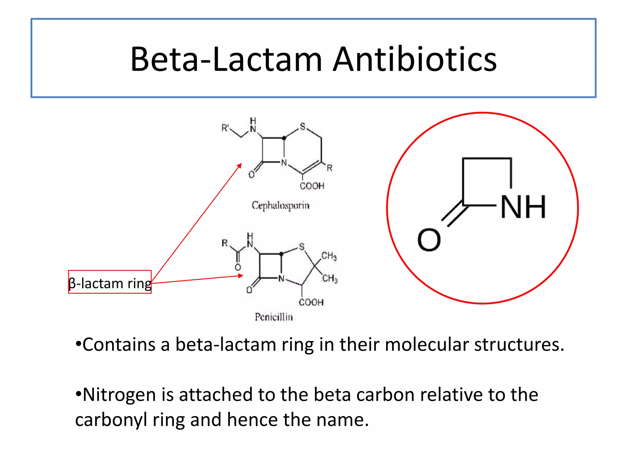 Beta Lactam Antibiotics | PPTX