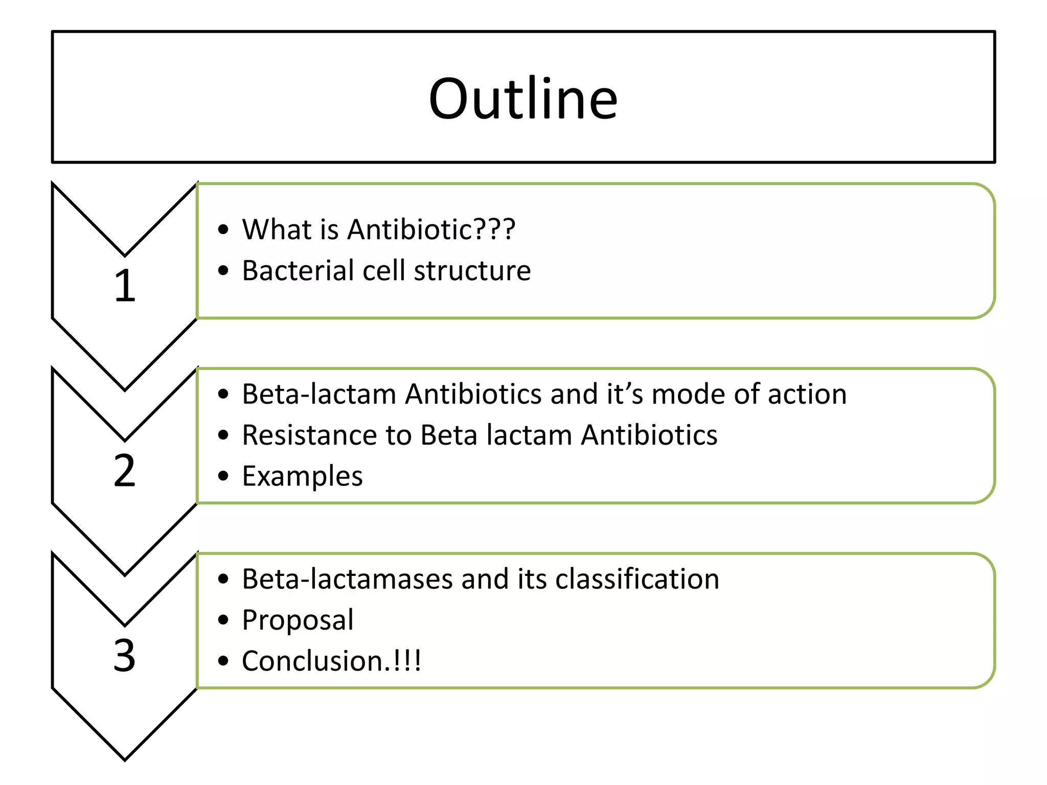 Beta Lactam Antibiotics | PPTX