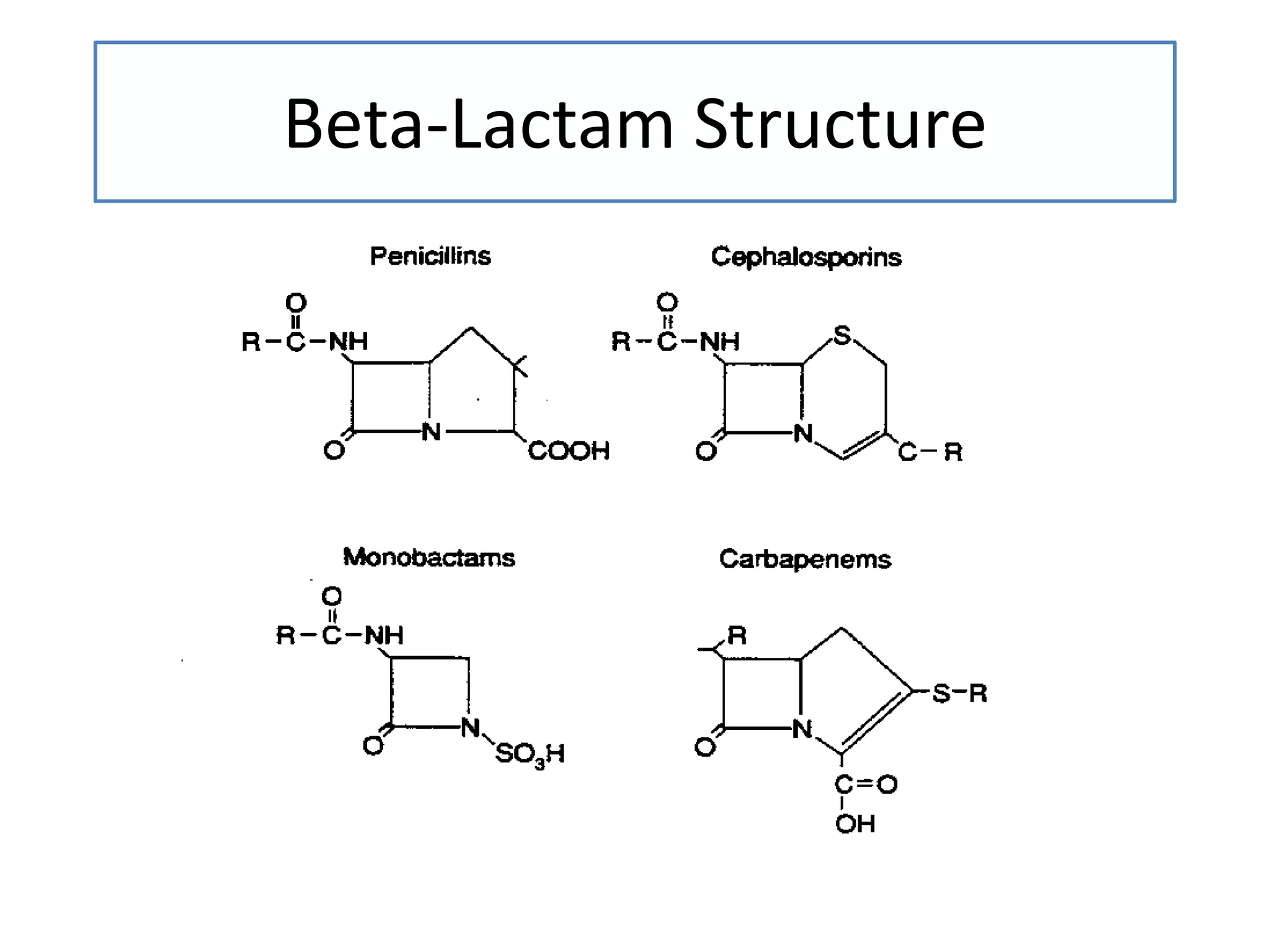 Beta Lactam Antibiotics | PPTX
