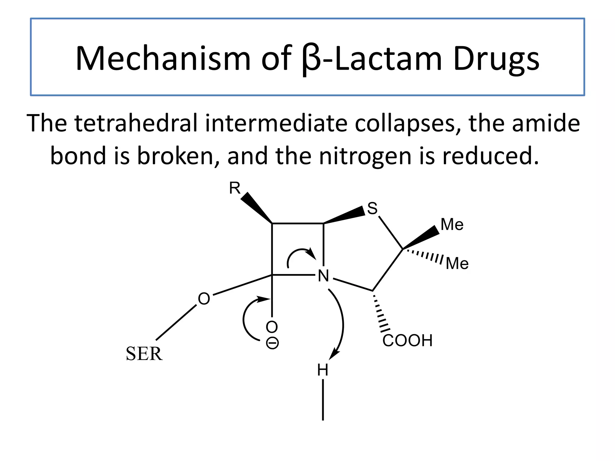 Beta Lactam Antibiotics | PPTX