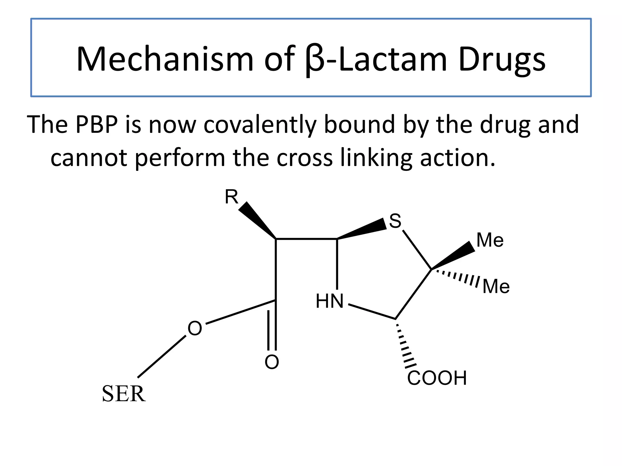 Beta Lactam Antibiotics | PPTX