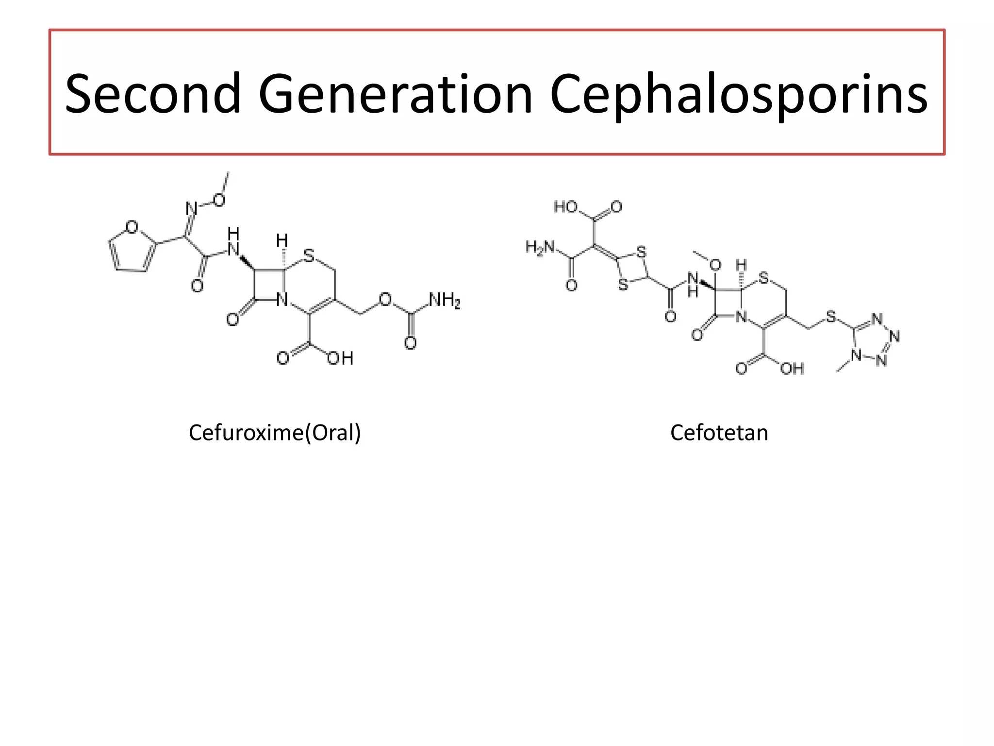 Beta Lactam Antibiotics | PPTX