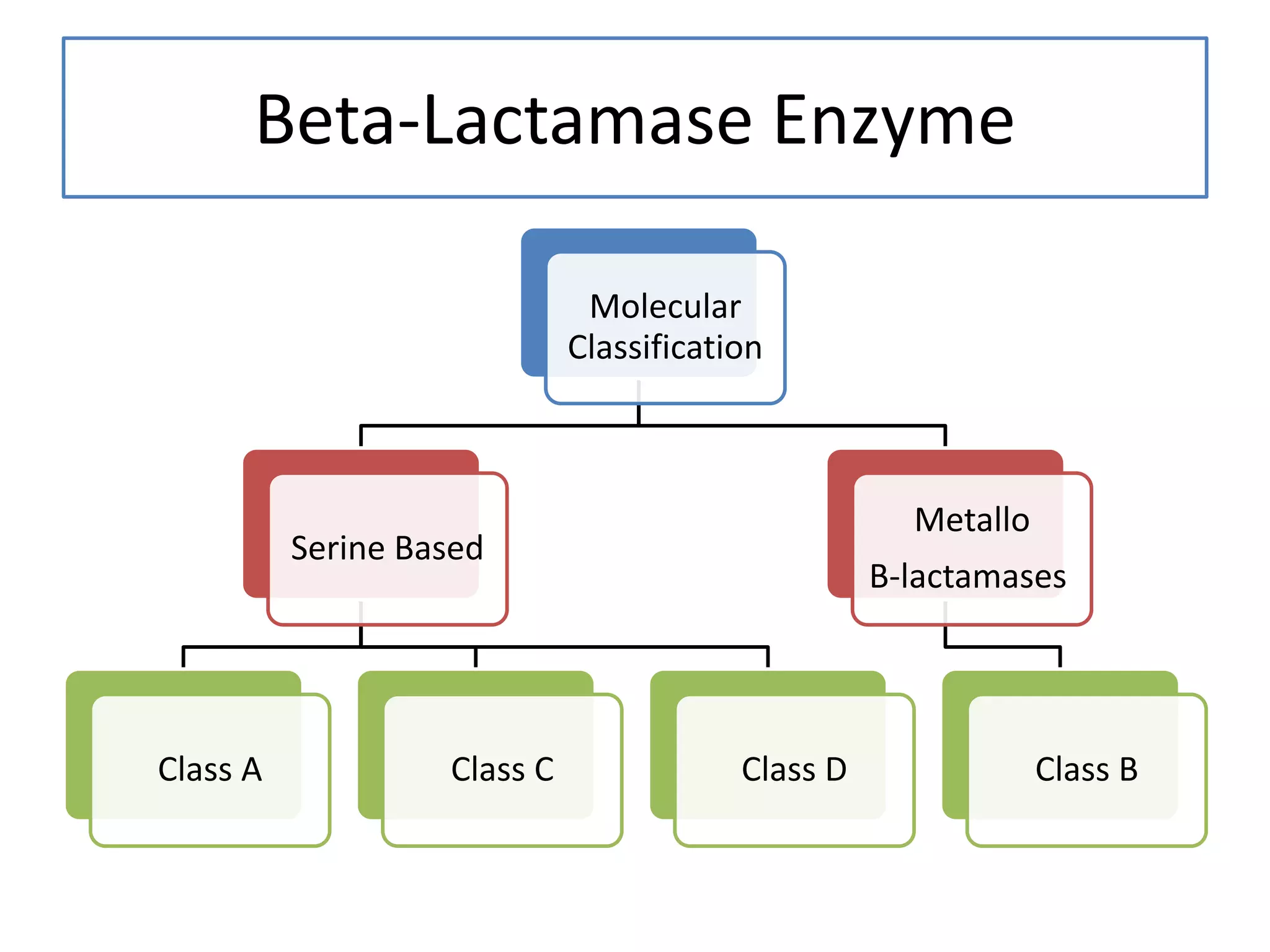 Beta Lactam Antibiotics | PPTX