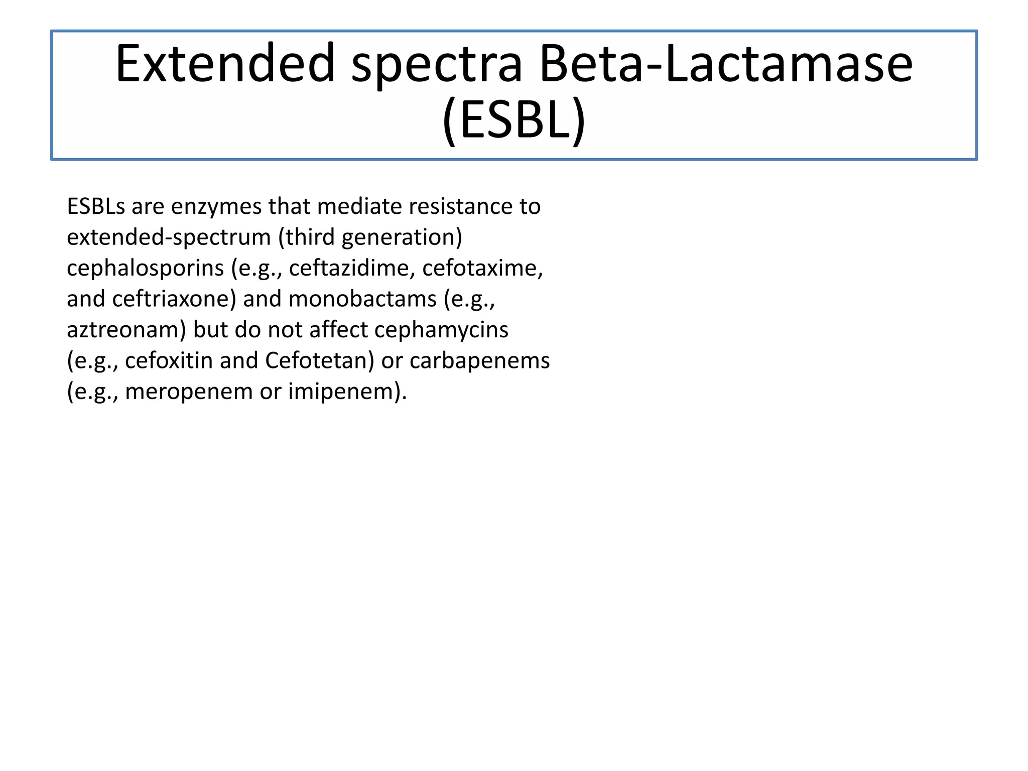 Beta Lactam Antibiotics | PPTX