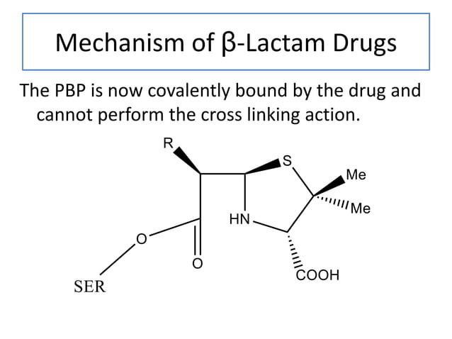 Beta Lactam Antibiotics | PPTX | Chemistry | Science