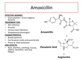 Beta Lactam Antibiotics | PPTX
